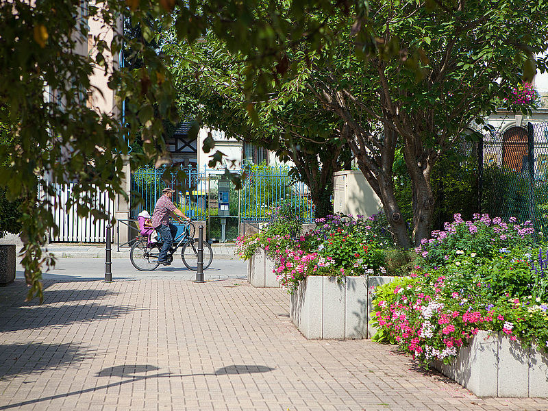 MA VILLE - Bischheim.alsace