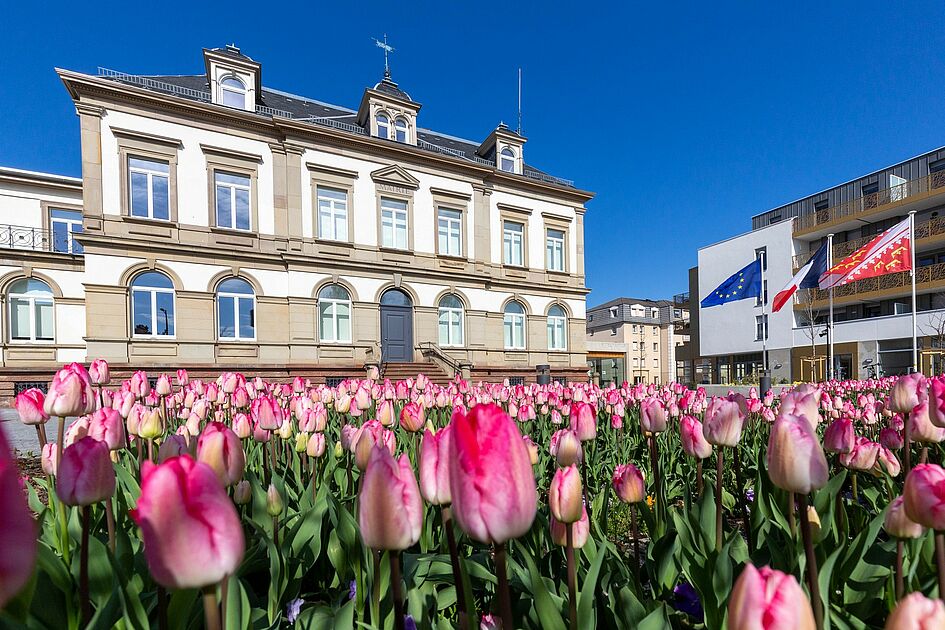 L'hôtel de ville - Bischheim.alsace